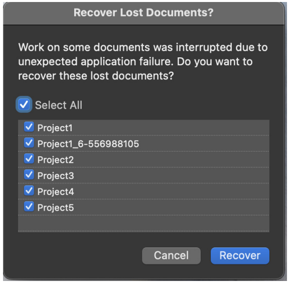 What is Automatic Document Recovery?