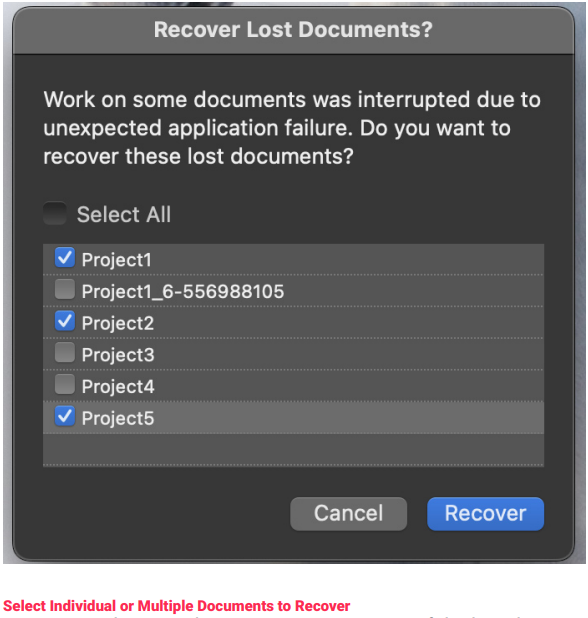 What is Automatic Document Recovery?