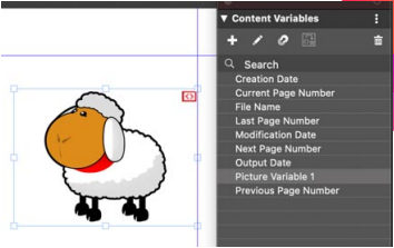 How to Create a Custom Picture Content Variable